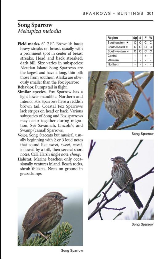 A Song Sparrows Nest | Bob Armstrong's Nature Alaska